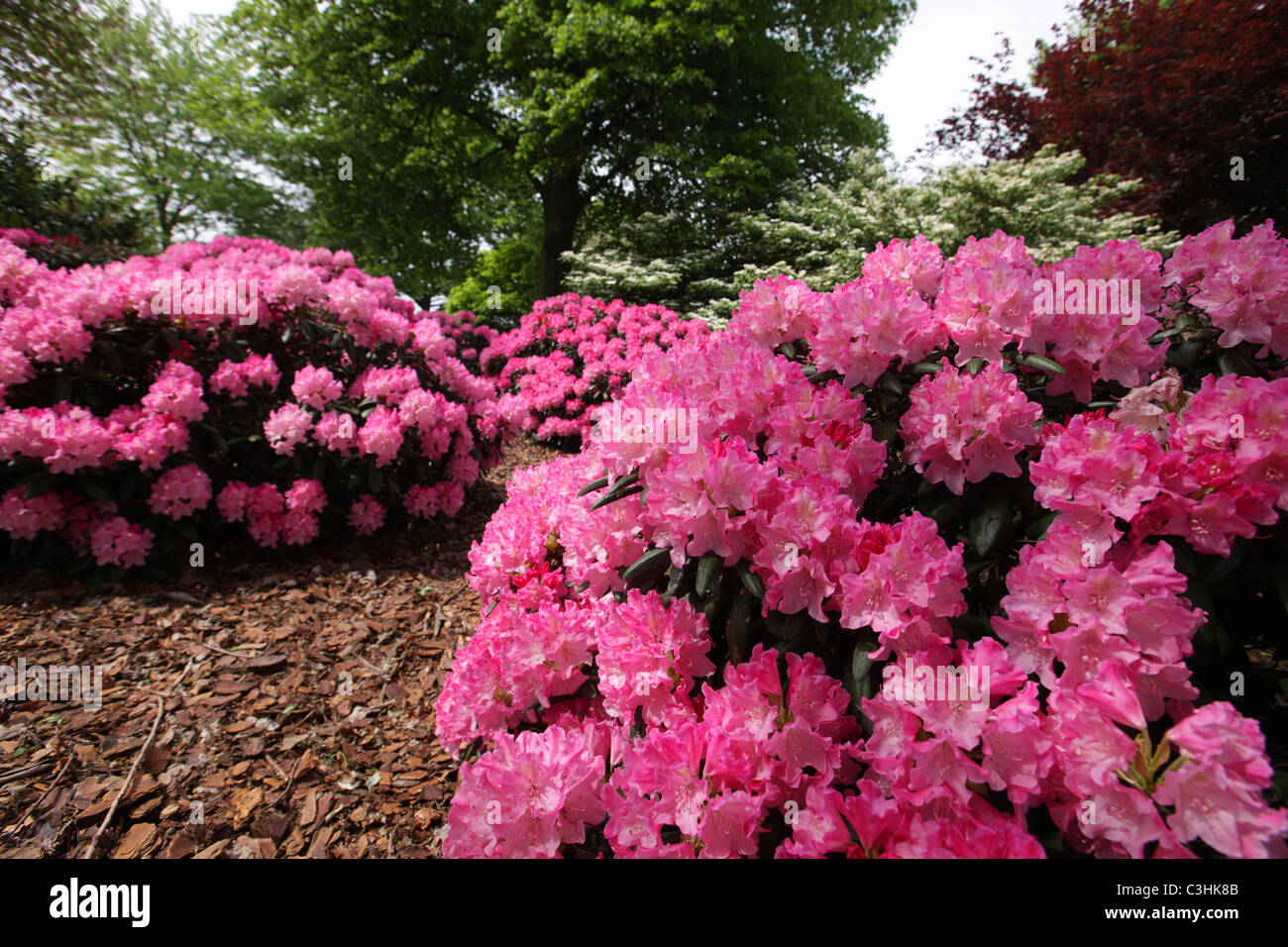 Garden at Vancouver corner Stock Photo - Alamy