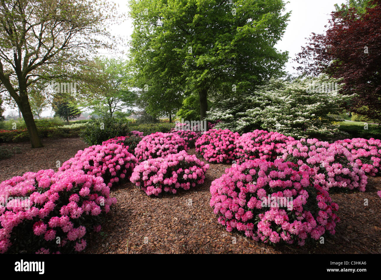Garden at Vancouver corner Stock Photo - Alamy