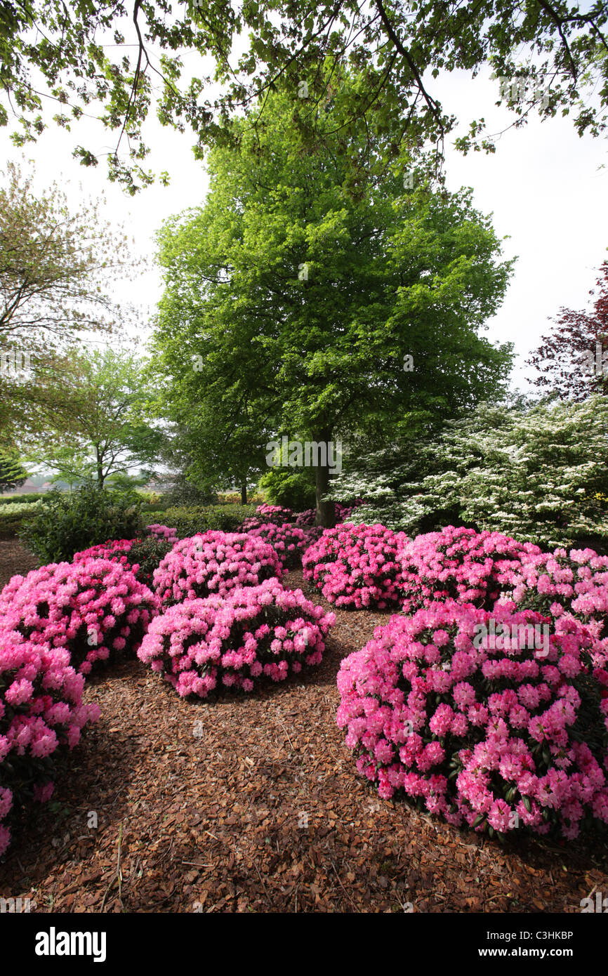 Vancouver Corner Memorial High Resolution Stock Photography and Images ...