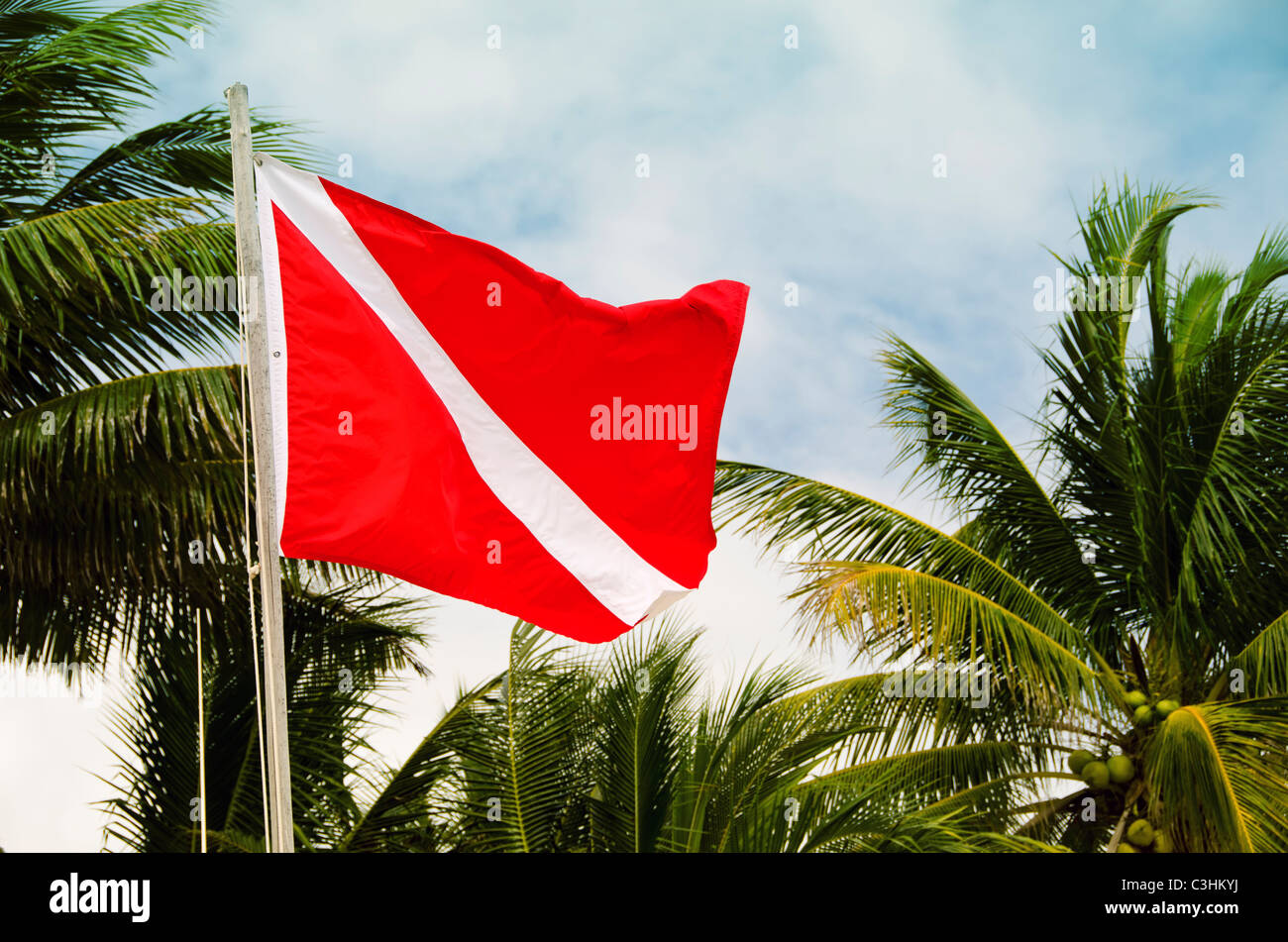 Red flag with palm trees Stock Photo - Alamy