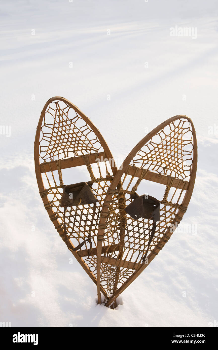 Snowshoe hi-res stock photography and images - Alamy