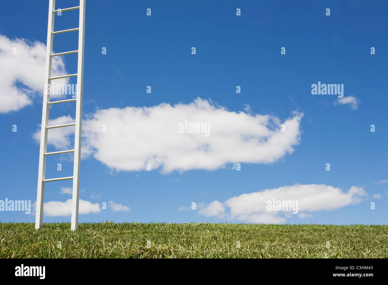White ladder hi-res stock photography and images - Alamy