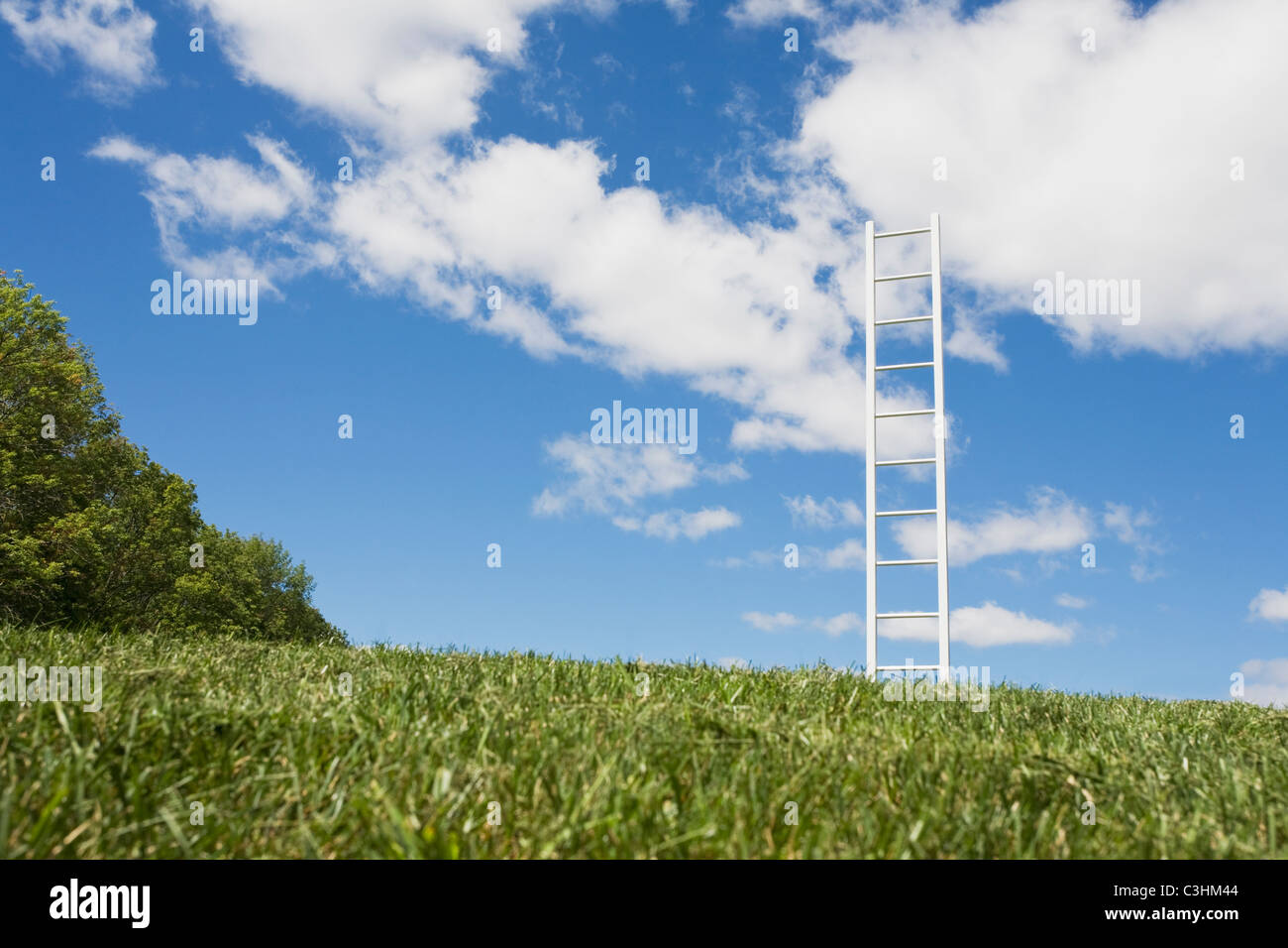 White ladder in field Stock Photo - Alamy