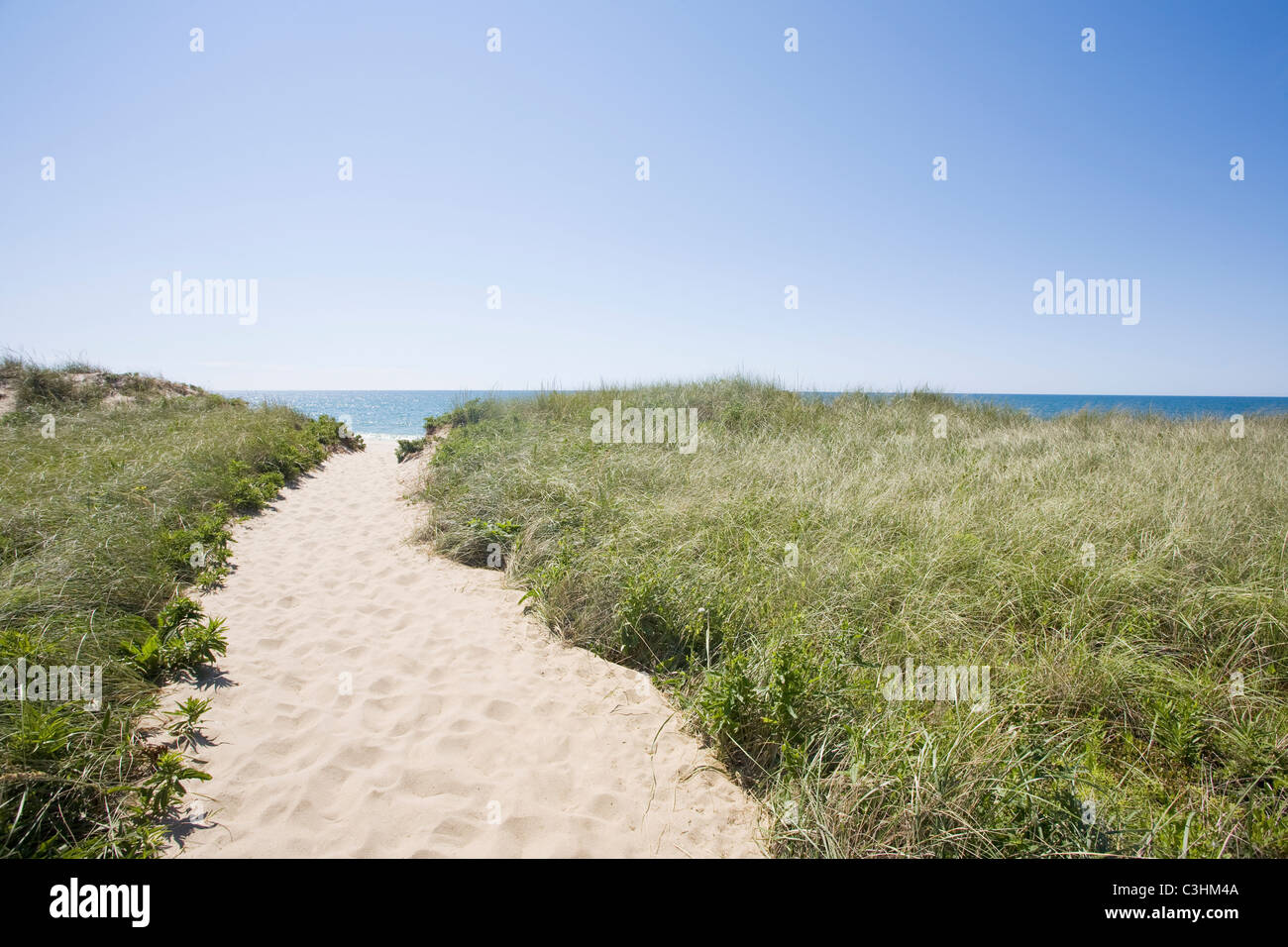 Path through sand dunes Stock Photo - Alamy