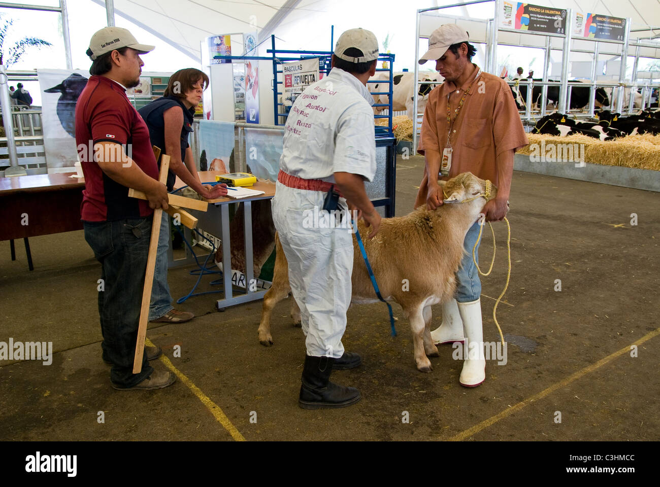 Mexico.Aguascalientes.Cattle sheep fair Stock Photo - Alamy