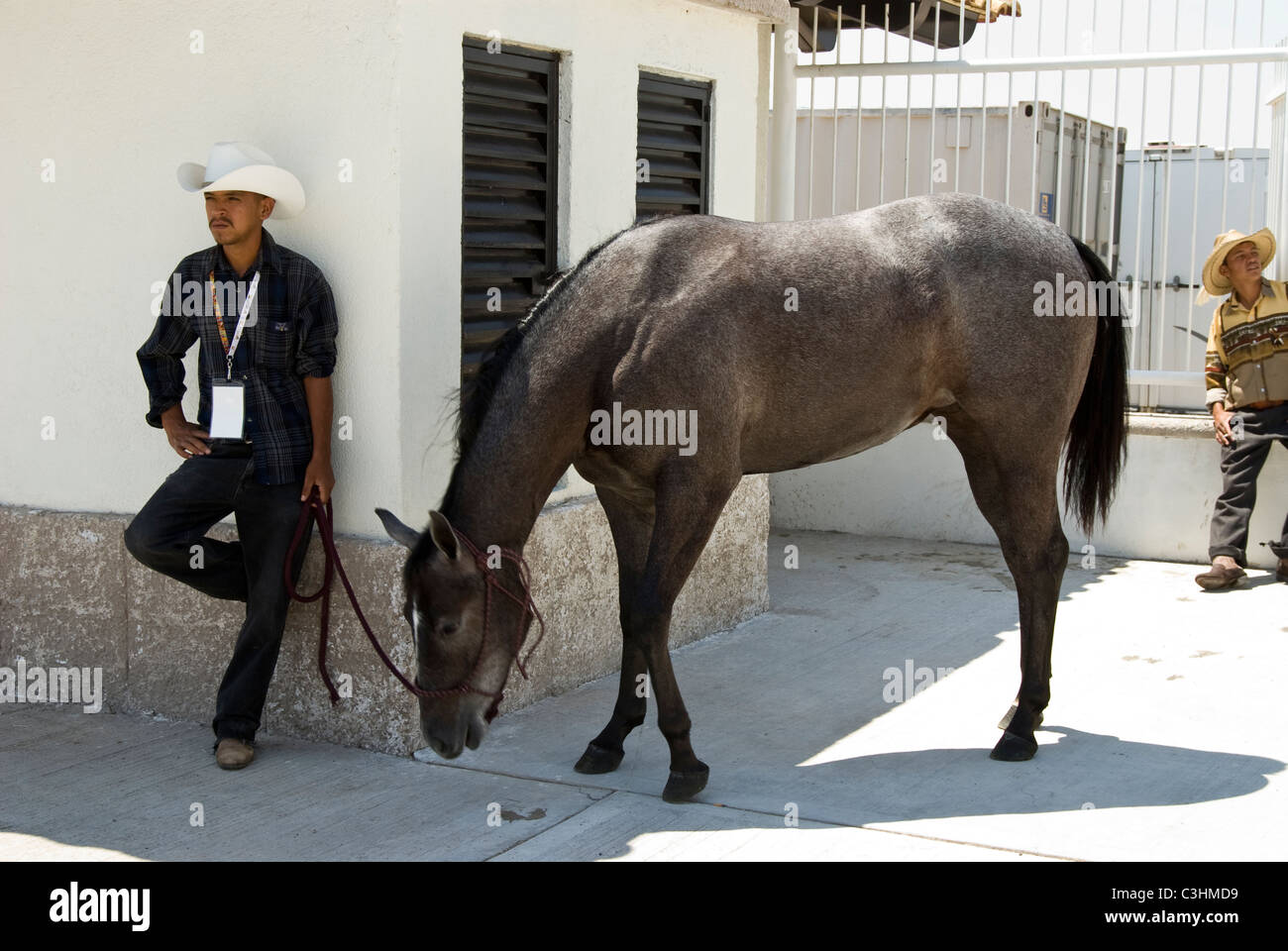 Mexico horse racing hi-res stock photography and images - Alamy