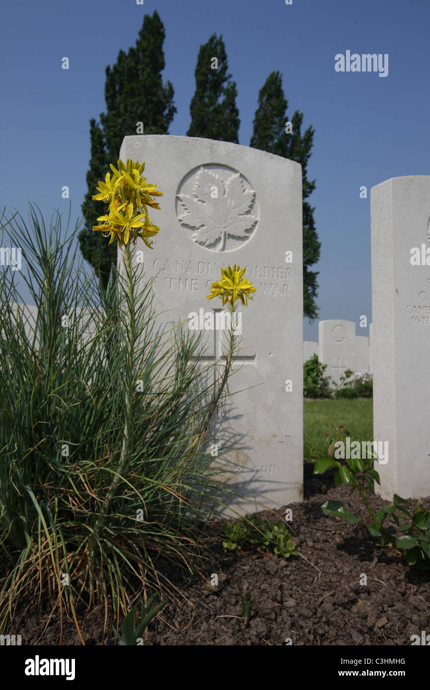 Passchendaele New British Cemetery Stock Photo - Alamy