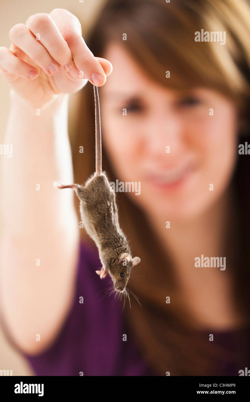 Young woman holding mouse by tail Stock Photo - Alamy