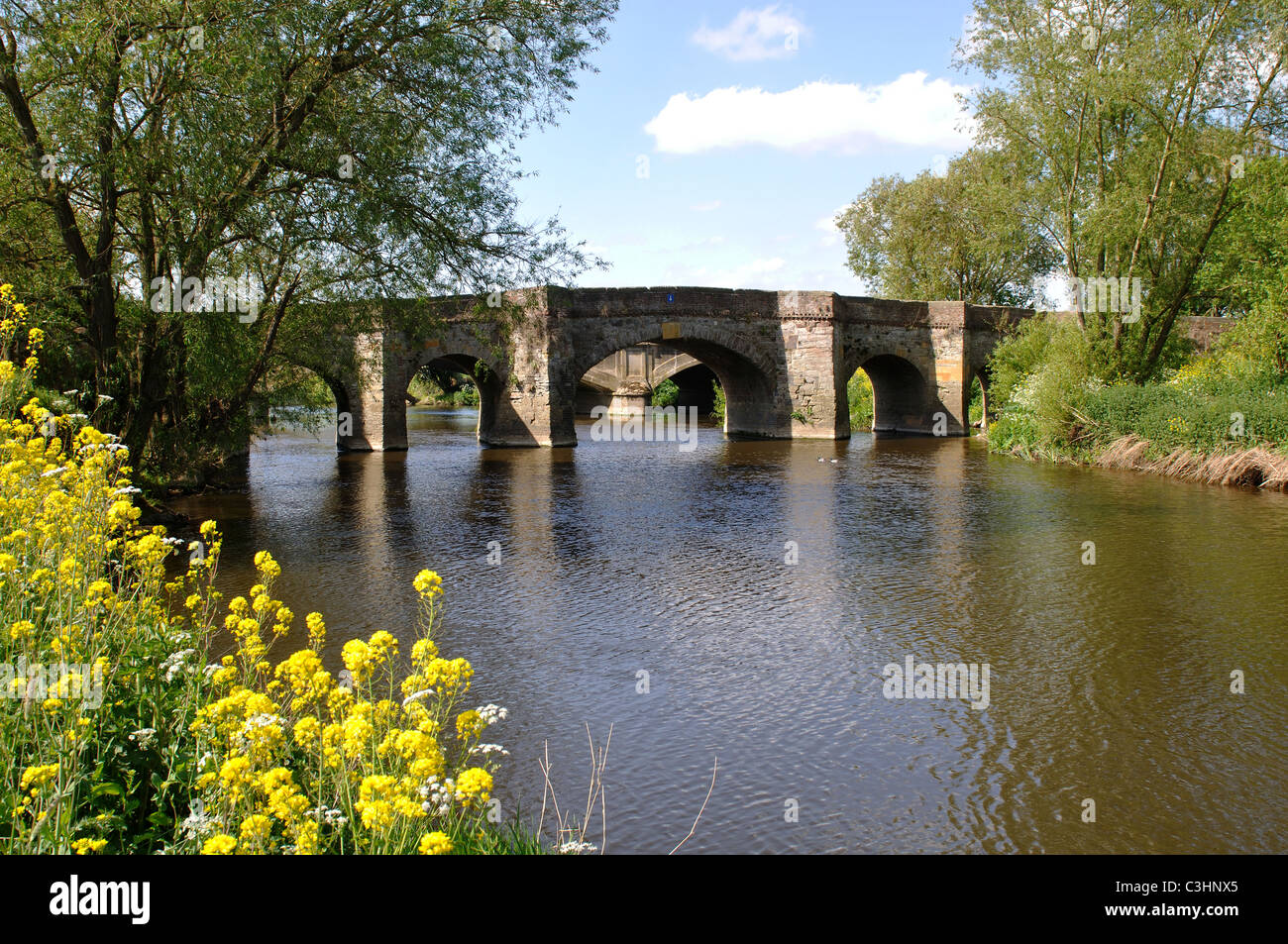 River Avon and Pershore Bridge, Worcestershire, England, UK Stock Photo ...