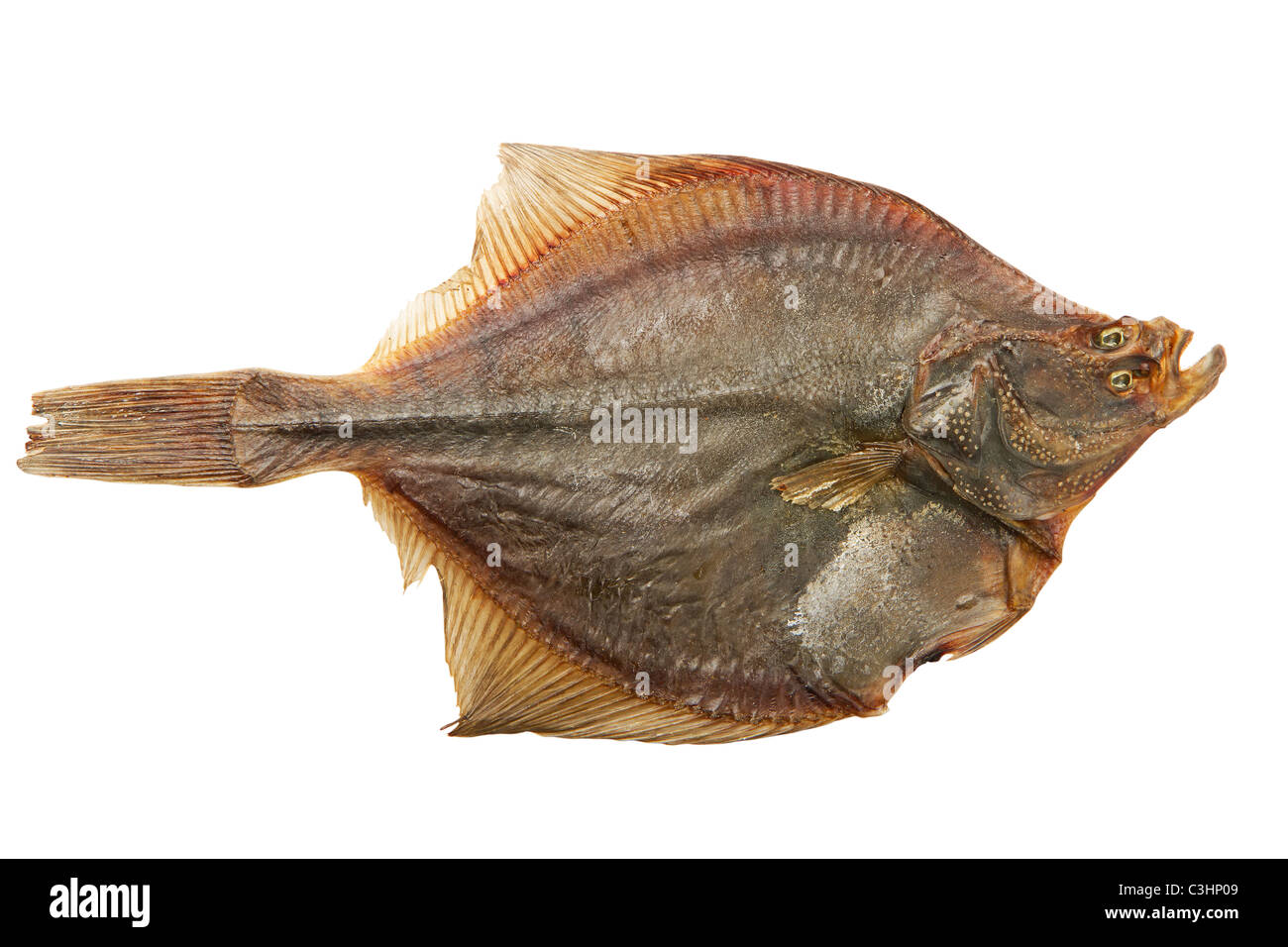 Dried fish isolated on a white background Stock Photo - Alamy