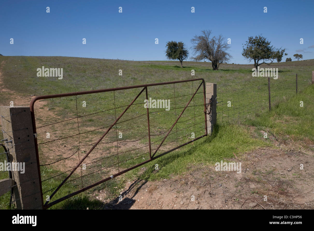 A Farm gate and South Australian landscape, Australia Stock Photo - Alamy