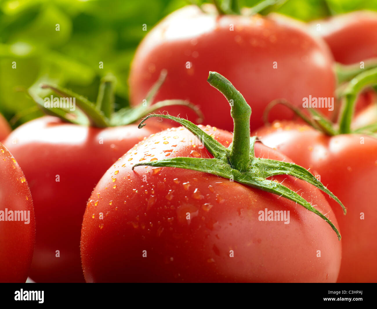 Vine tomatoes hi-res stock photography and images - Alamy