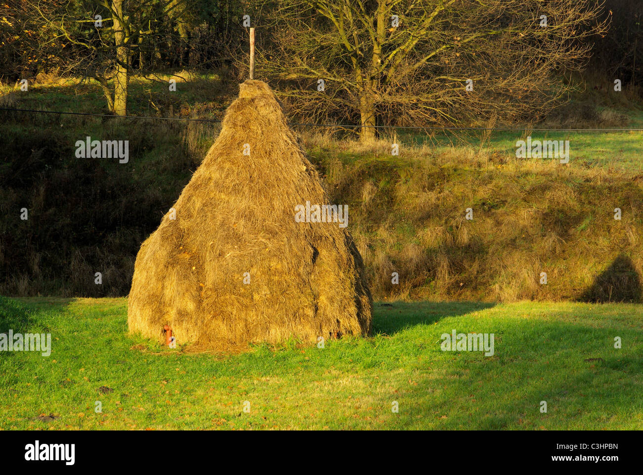 Heuschober hi-res stock photography and images - Alamy