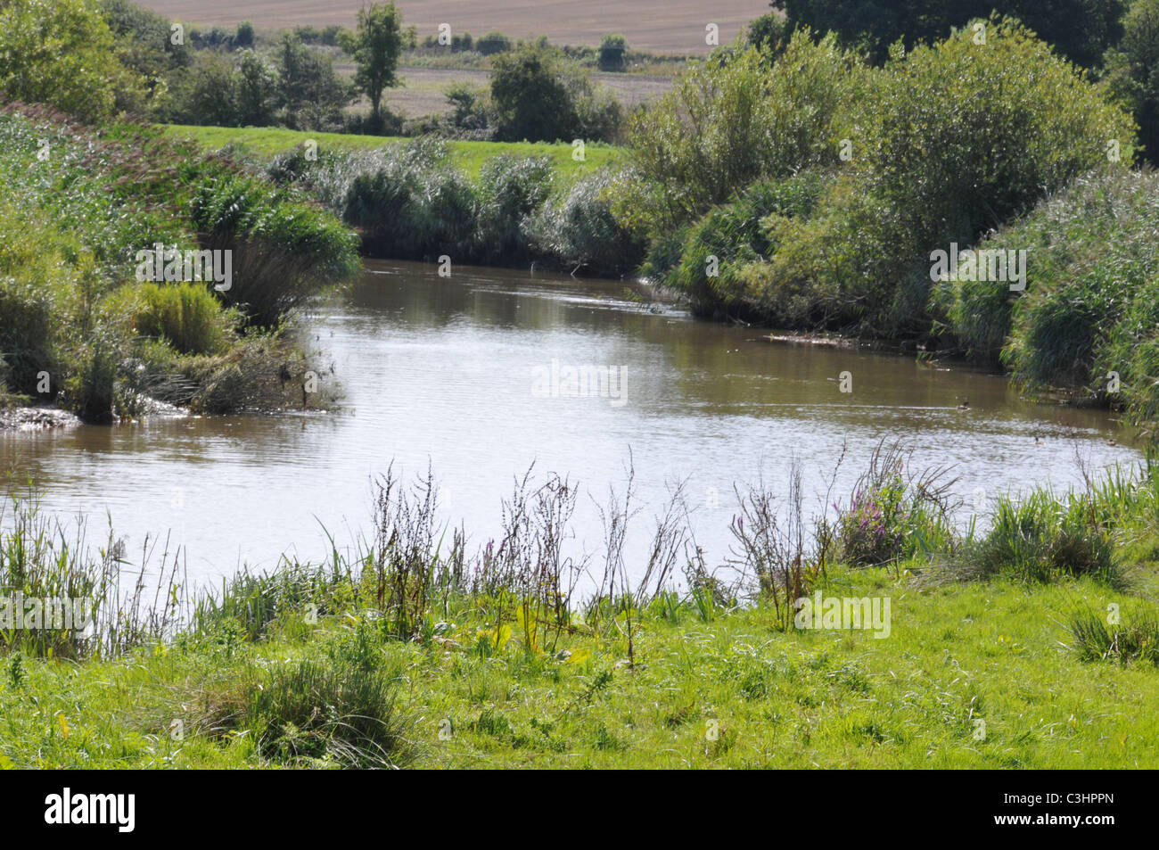 River arun hi-res stock photography and images - Alamy