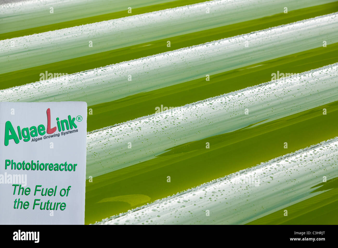 Algae bioreactor hi-res stock photography and images - Alamy