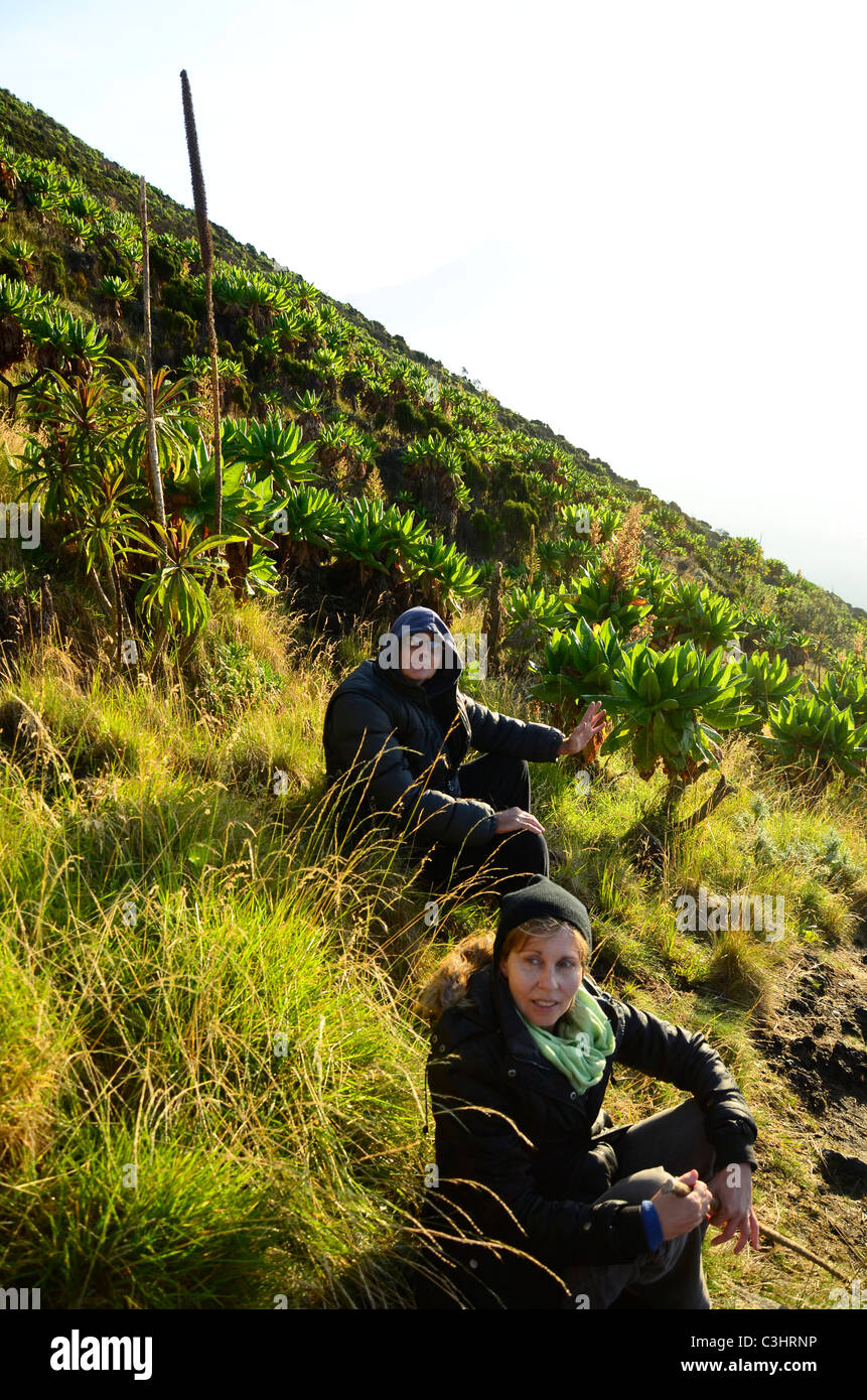 Tourists resting in Virunga National Park, eastern Democratic Republic ...