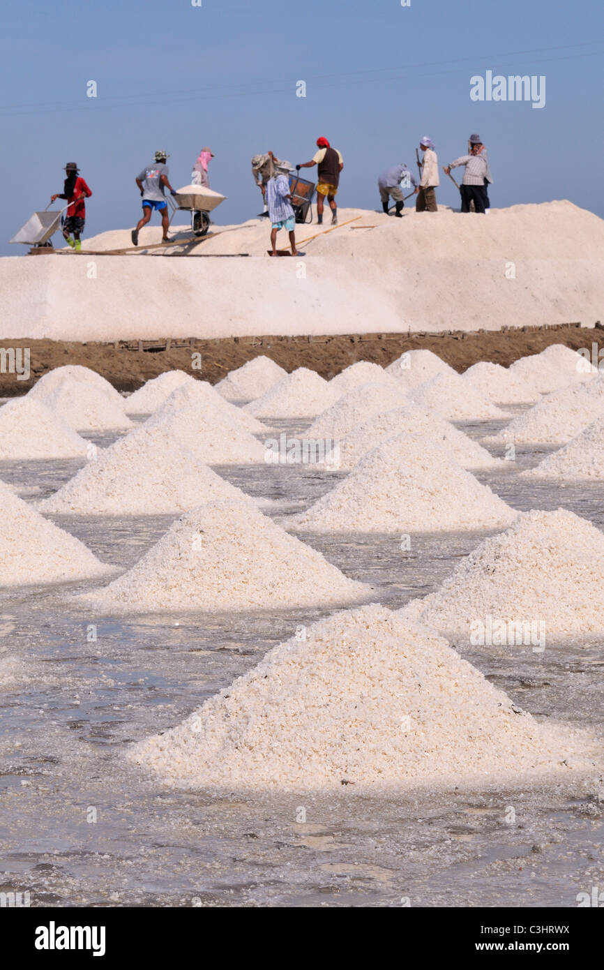 Salt farm in Samut Sakhon province on the coast of the Gulf of Thailand ...