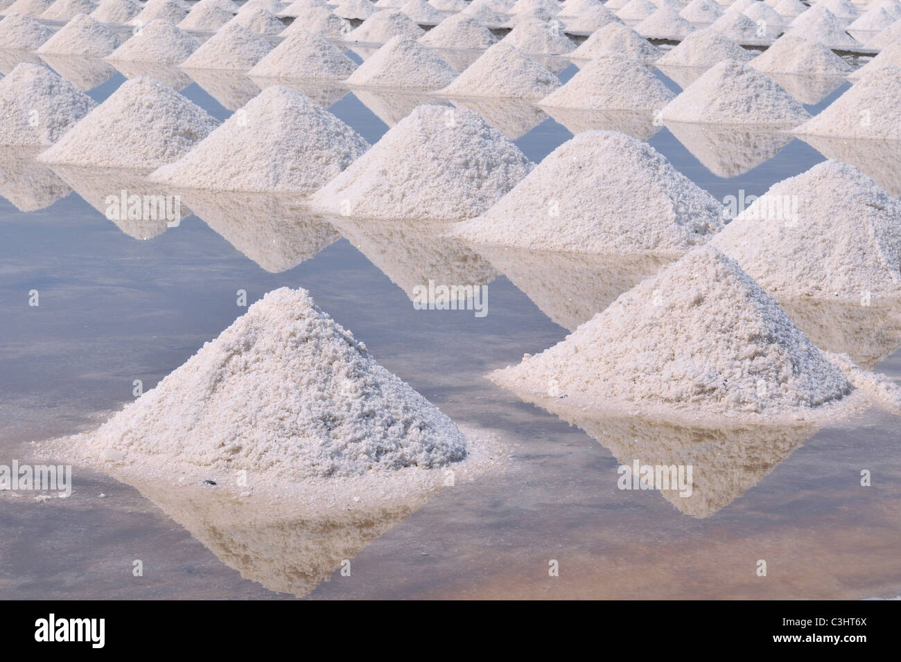 Salt farm in Samut Sakhon province on the coast of the Gulf of Thailand ...
