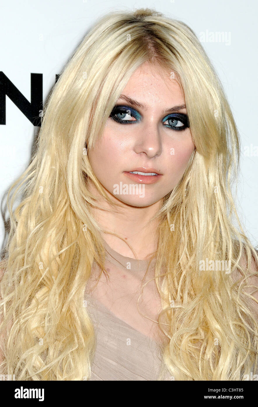 Taylor Momsen 2009 Whitney Museum Gala at The Whitney Museum of ...
