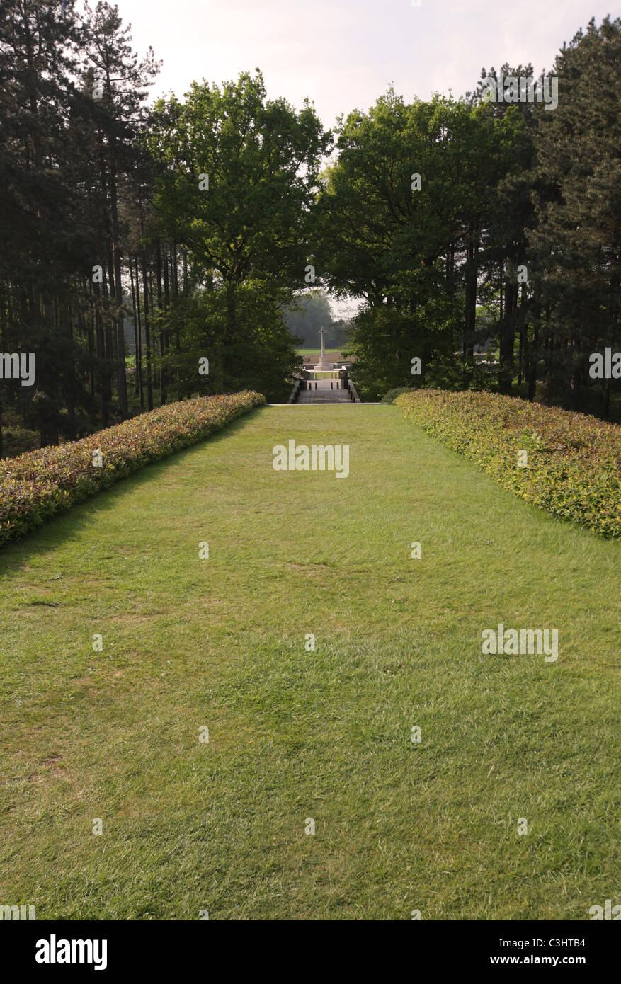 Little polygon wood hi-res stock photography and images - Alamy