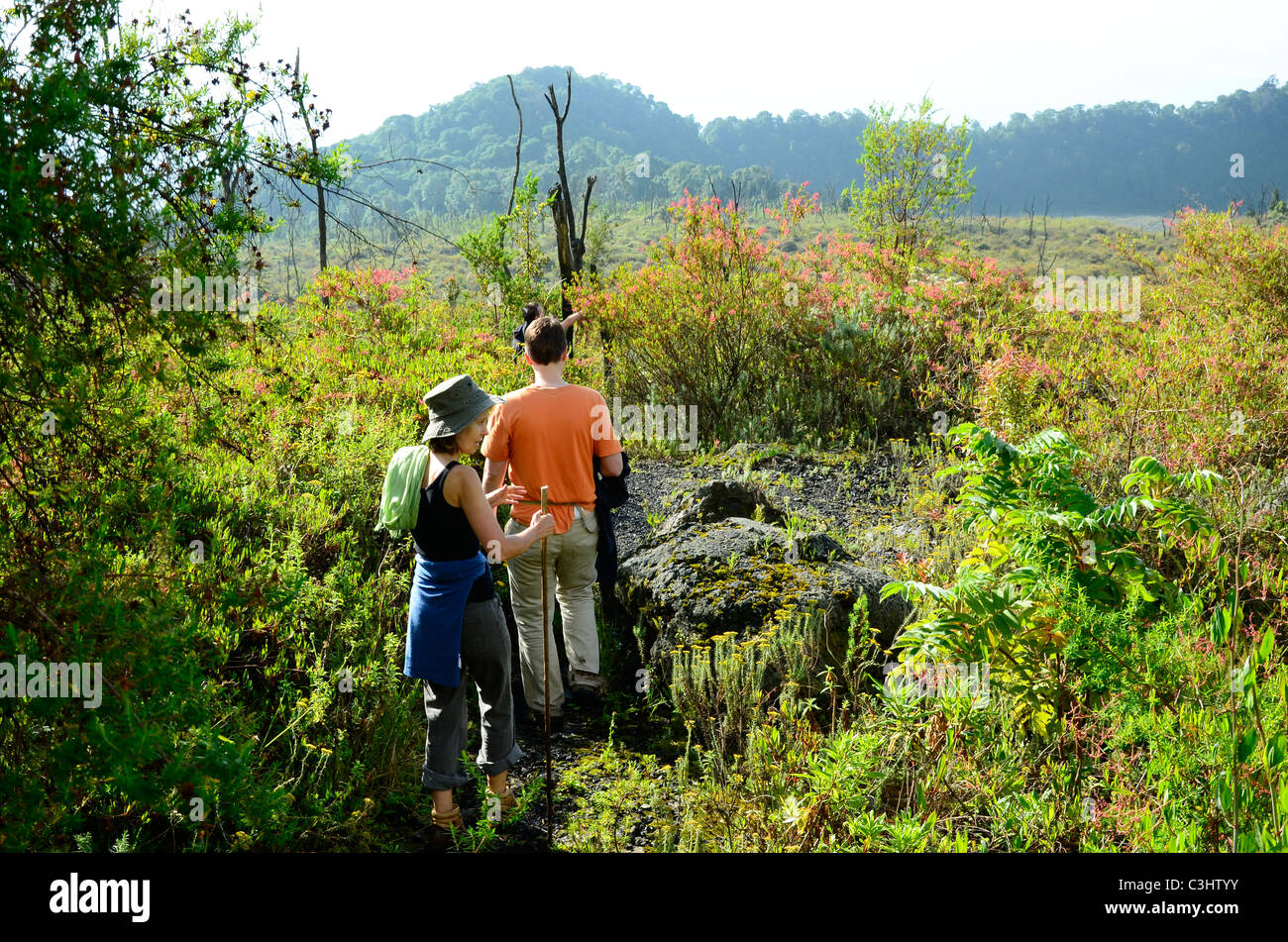 Equator flowers hi-res stock photography and images - Alamy