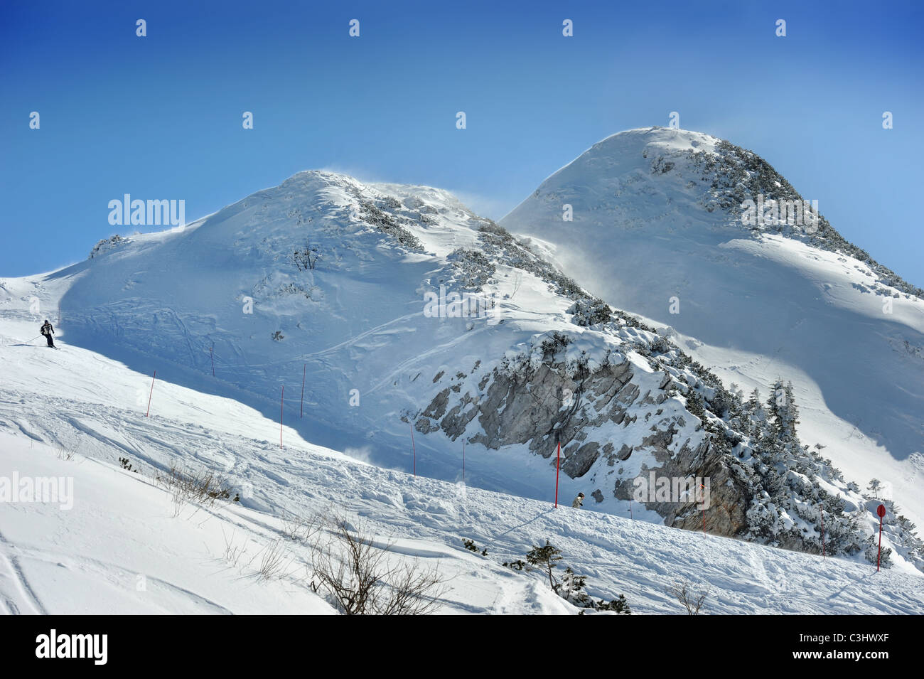 Orlove glave hi-res stock photography and images - Alamy