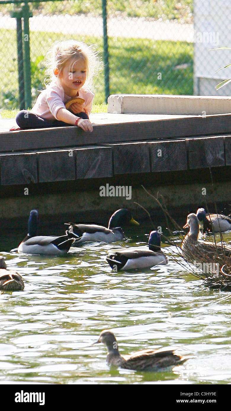 Violet ducks hi-res stock photography and images - Alamy