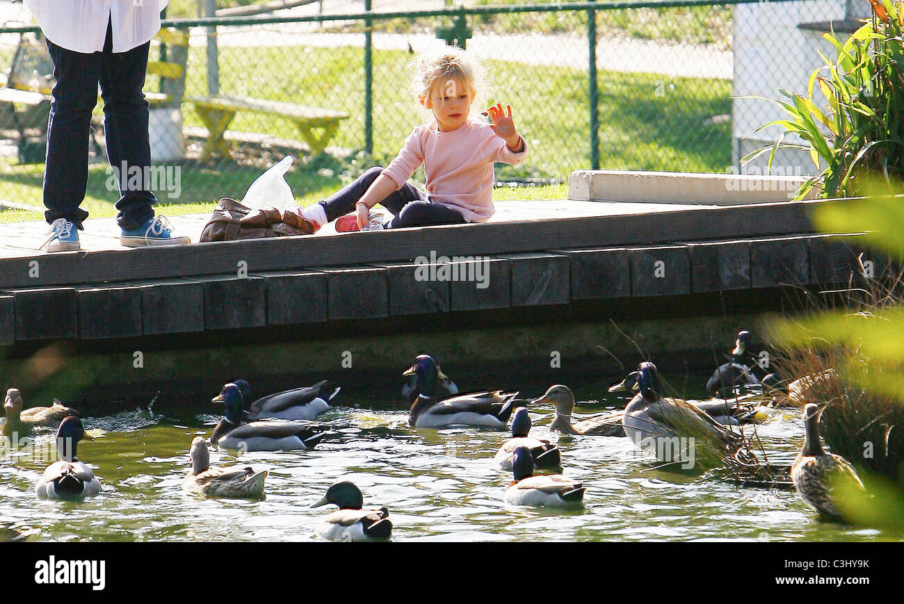 Violet ducks hi-res stock photography and images - Alamy