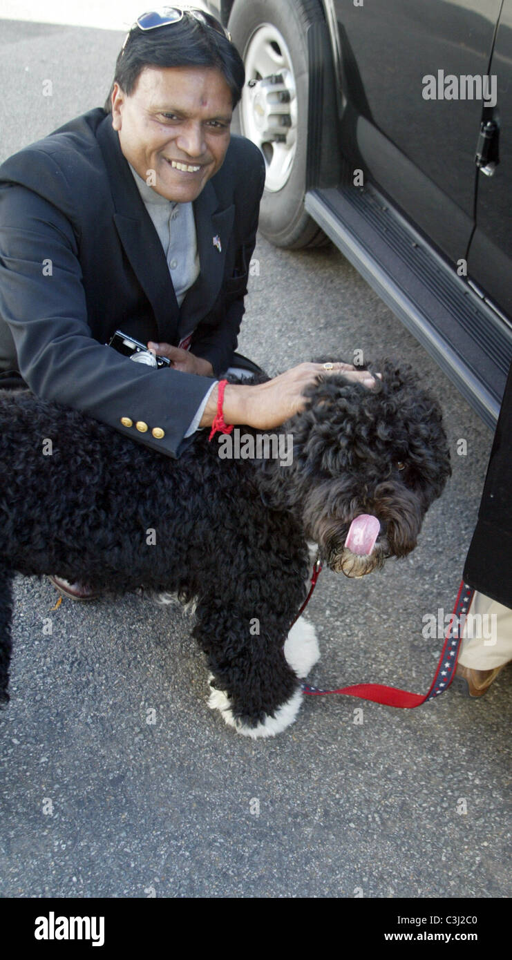 The First Family dog Bo return to the White House after a weekend at ...