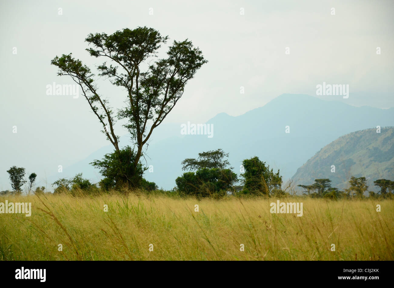Virunga National Park, eastern Democratic Republic of Congo, Central ...