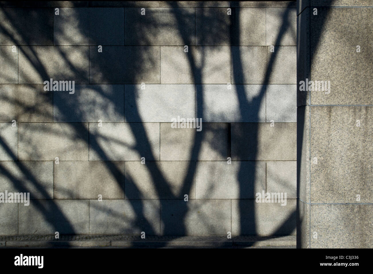 tree shadows on a stone wall Stock Photo - Alamy