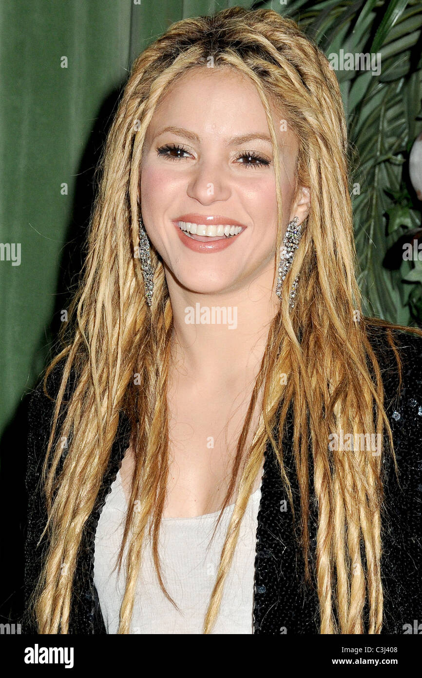 Shakira Braids