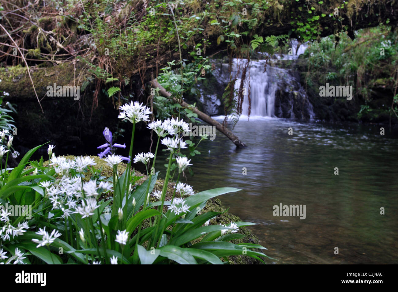 Gwaun valley hi-res stock photography and images - Alamy