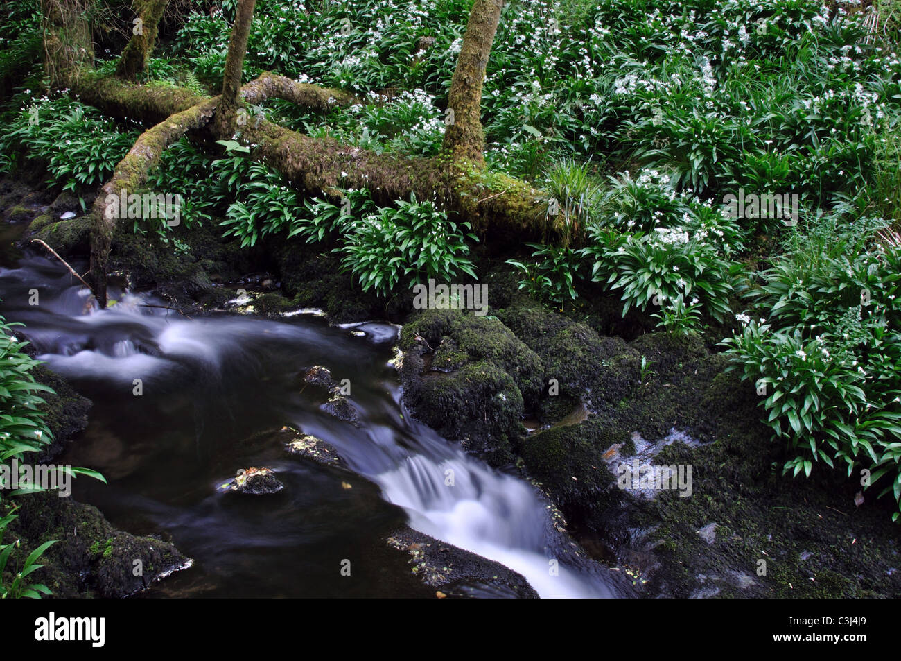 Gwaun valley hi-res stock photography and images - Alamy