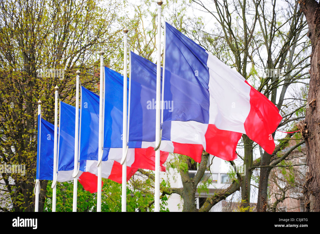 Tricolour flags hi-res stock photography and images - Alamy
