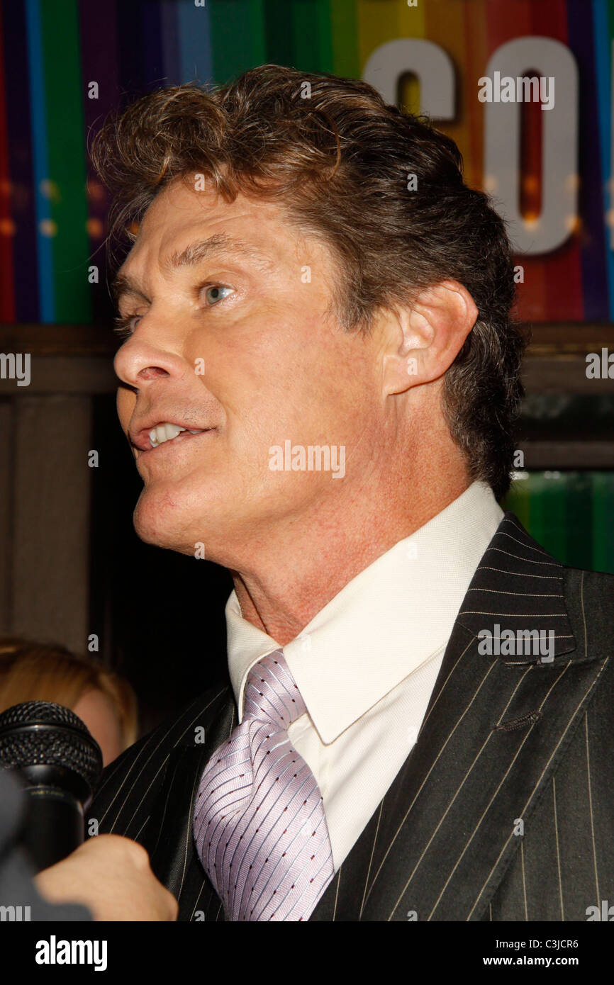 David Hasselhoff Opening night of the classic Broadway musical 'Finian ...