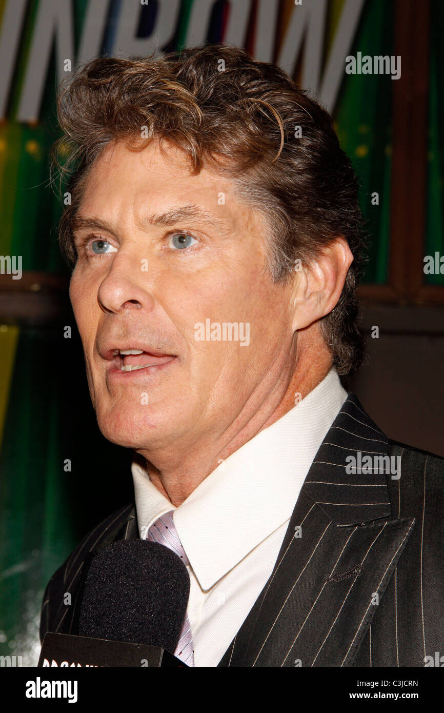 David Hasselhoff Opening night of the classic Broadway musical 'Finian ...