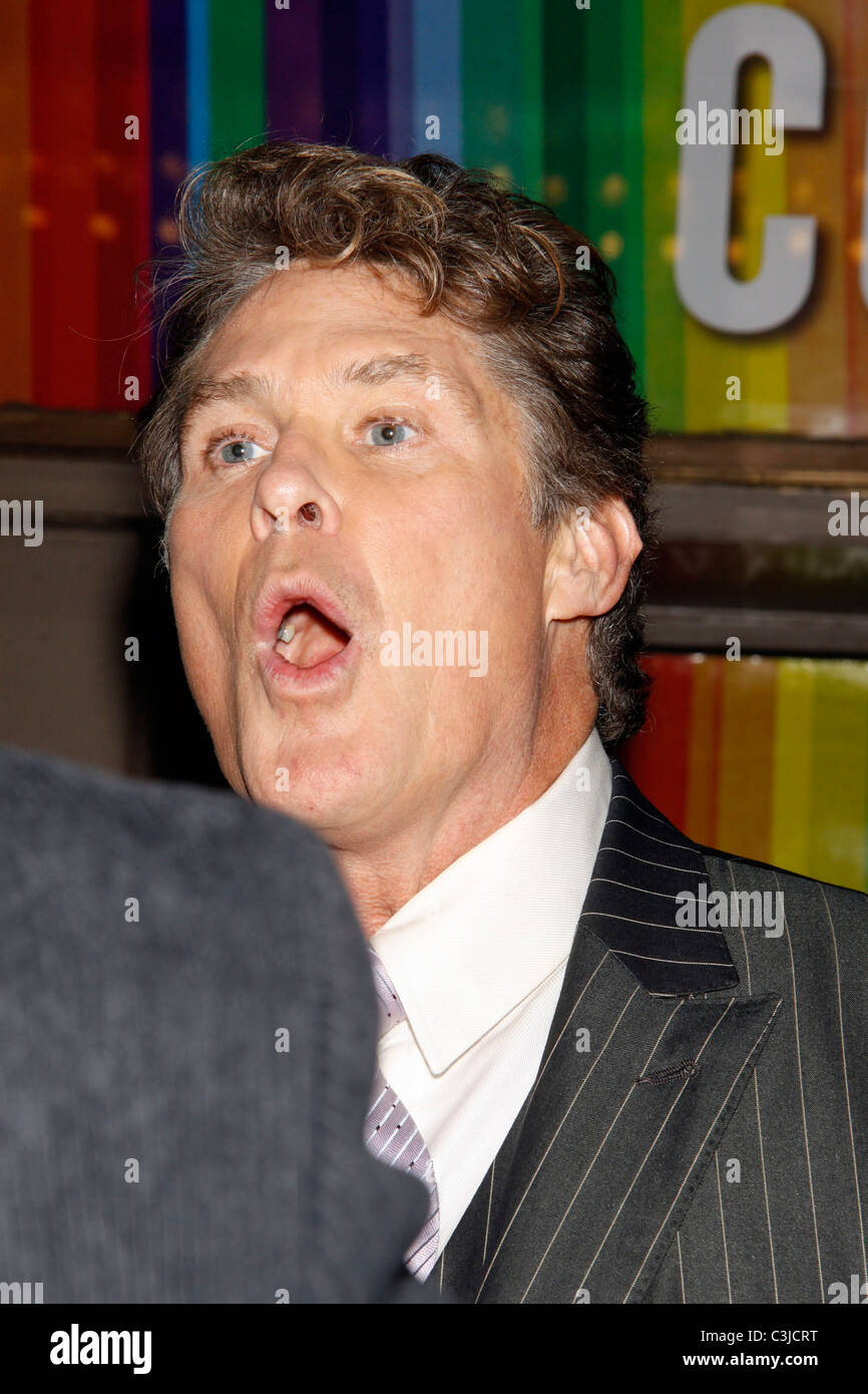 David Hasselhoff Opening night of the classic Broadway musical 'Finian ...