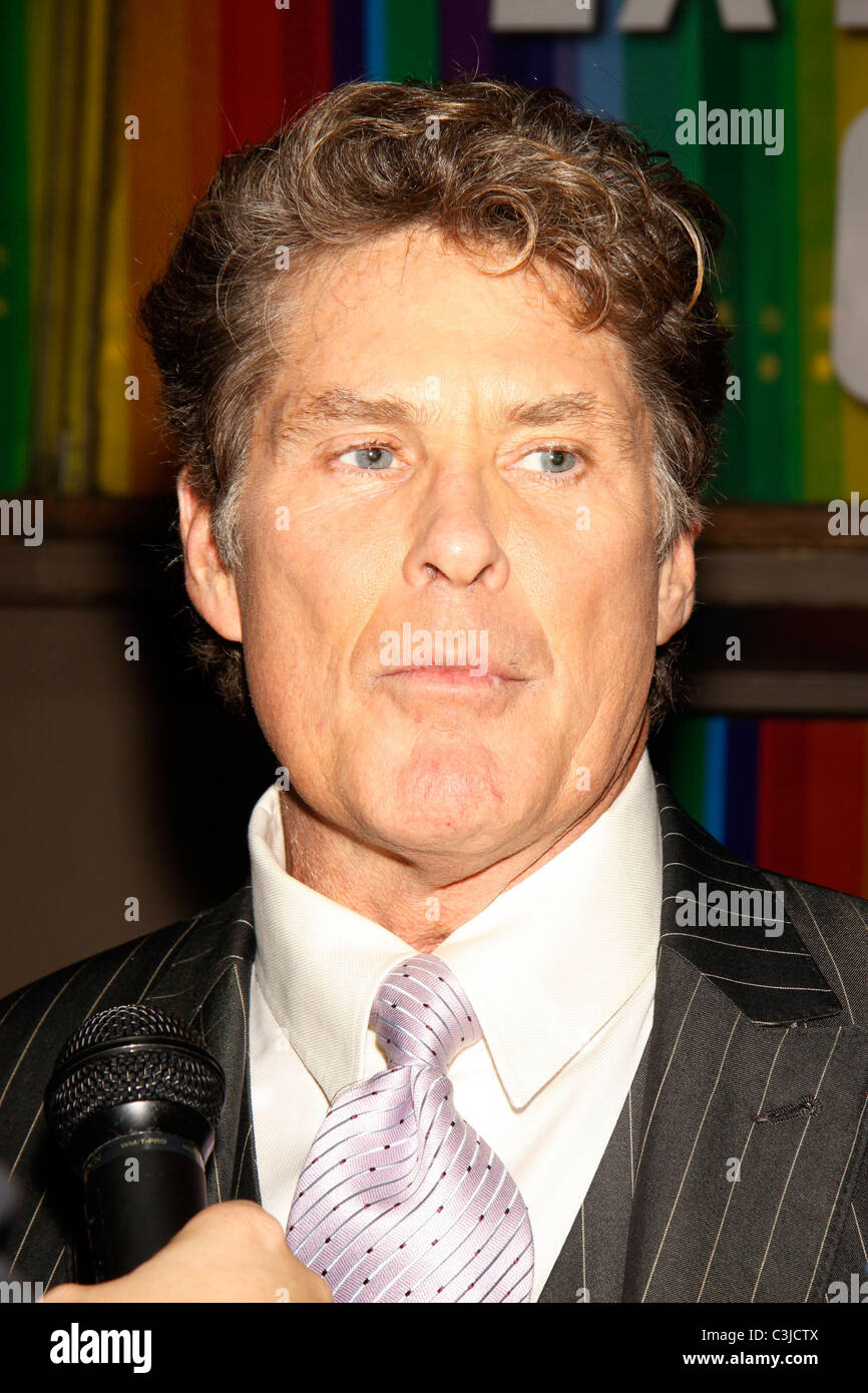 David Hasselhoff Opening night of the classic Broadway musical 'Finian ...
