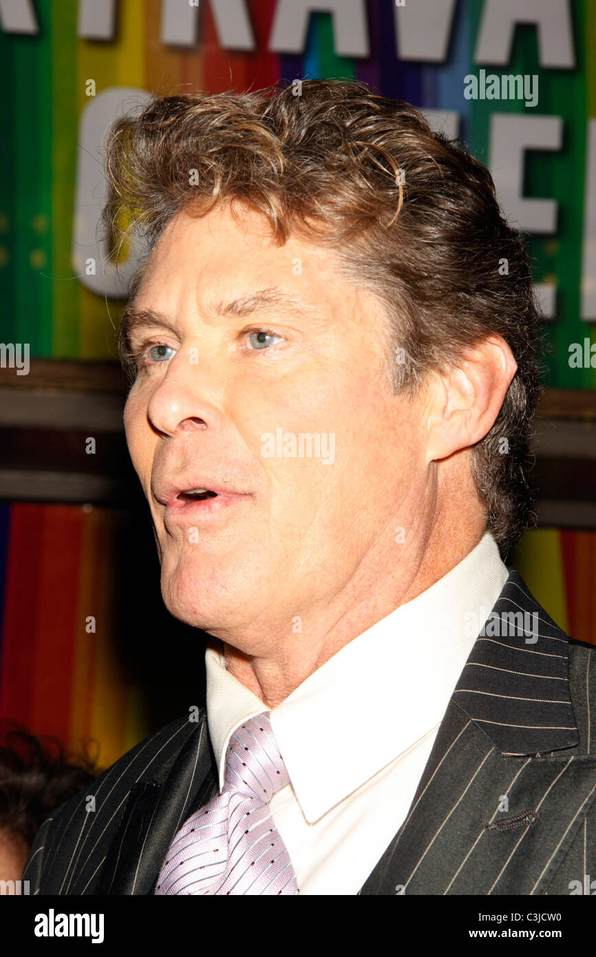 David Hasselhoff Opening night of the classic Broadway musical 'Finian ...