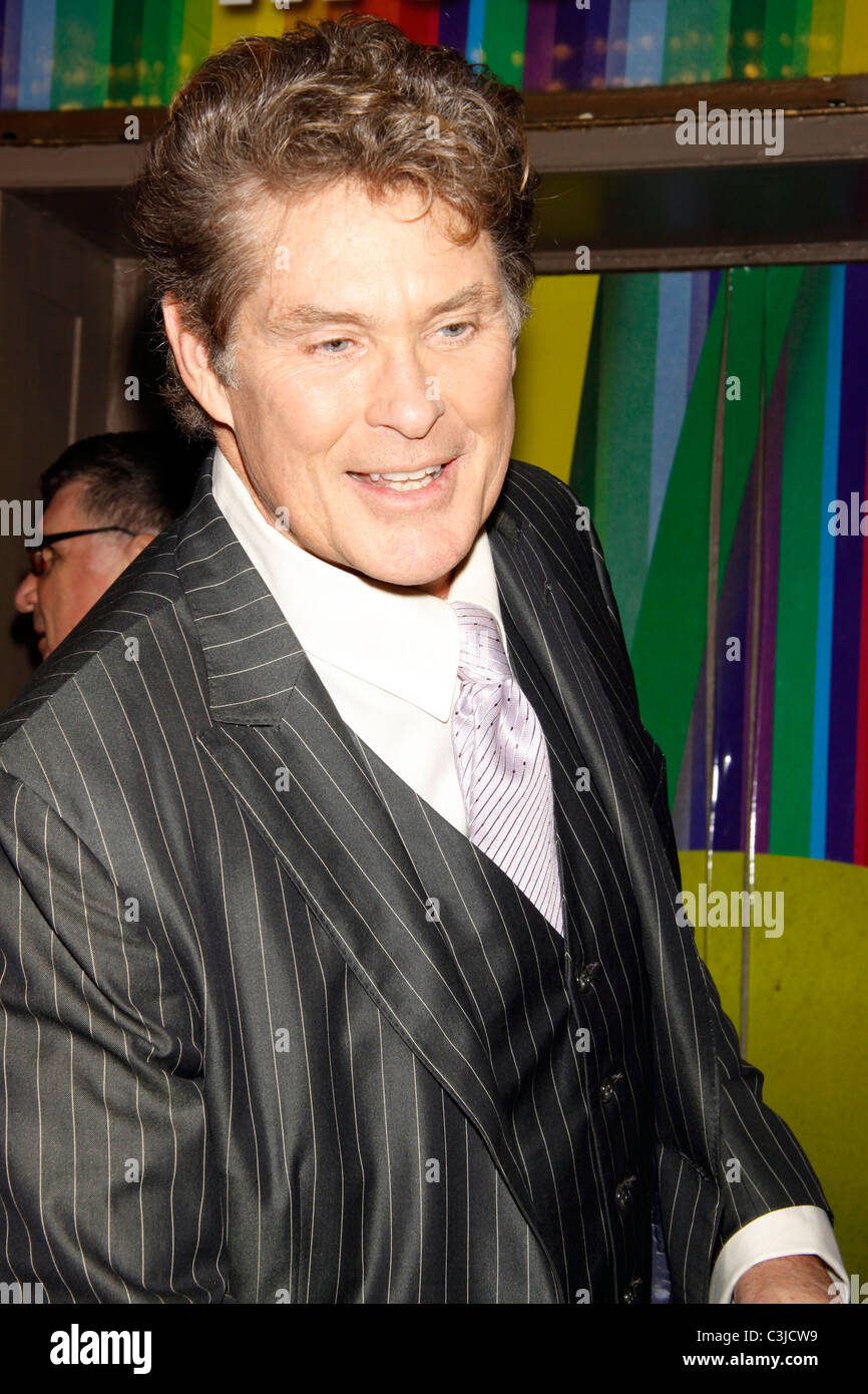 David Hasselhoff Opening night of the classic Broadway musical 'Finian ...