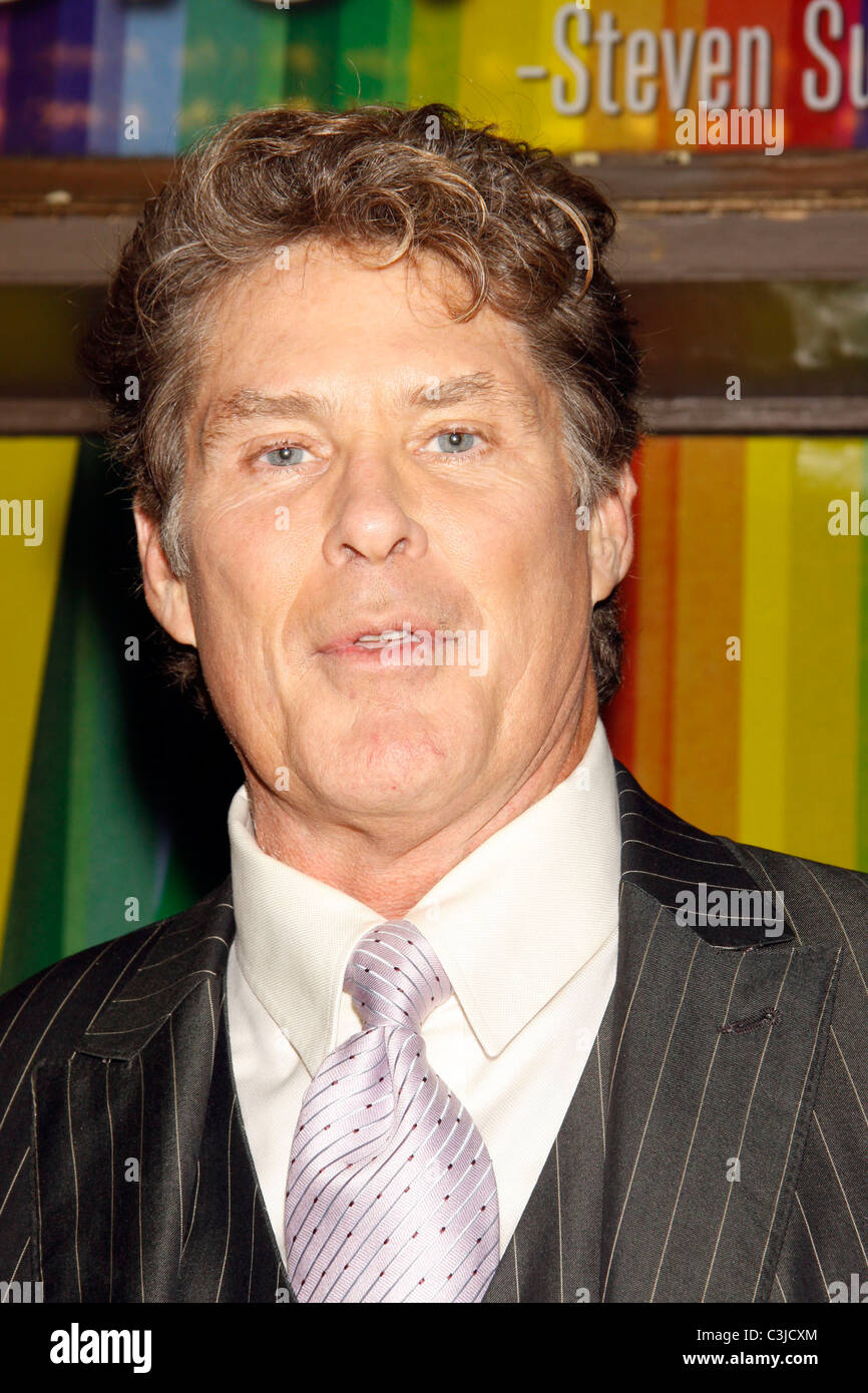 David Hasselhoff Opening night of the classic Broadway musical 'Finian ...