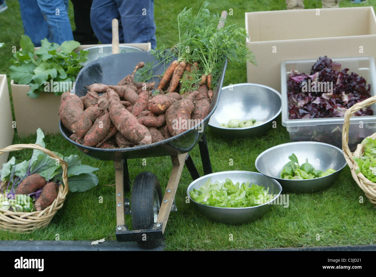 Atmosphere US First Lady Michelle Obama hosts a fall harvest of the ...