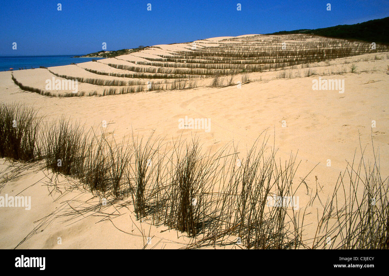 Tarifa beach costa de la luz hi-res stock photography and images - Alamy