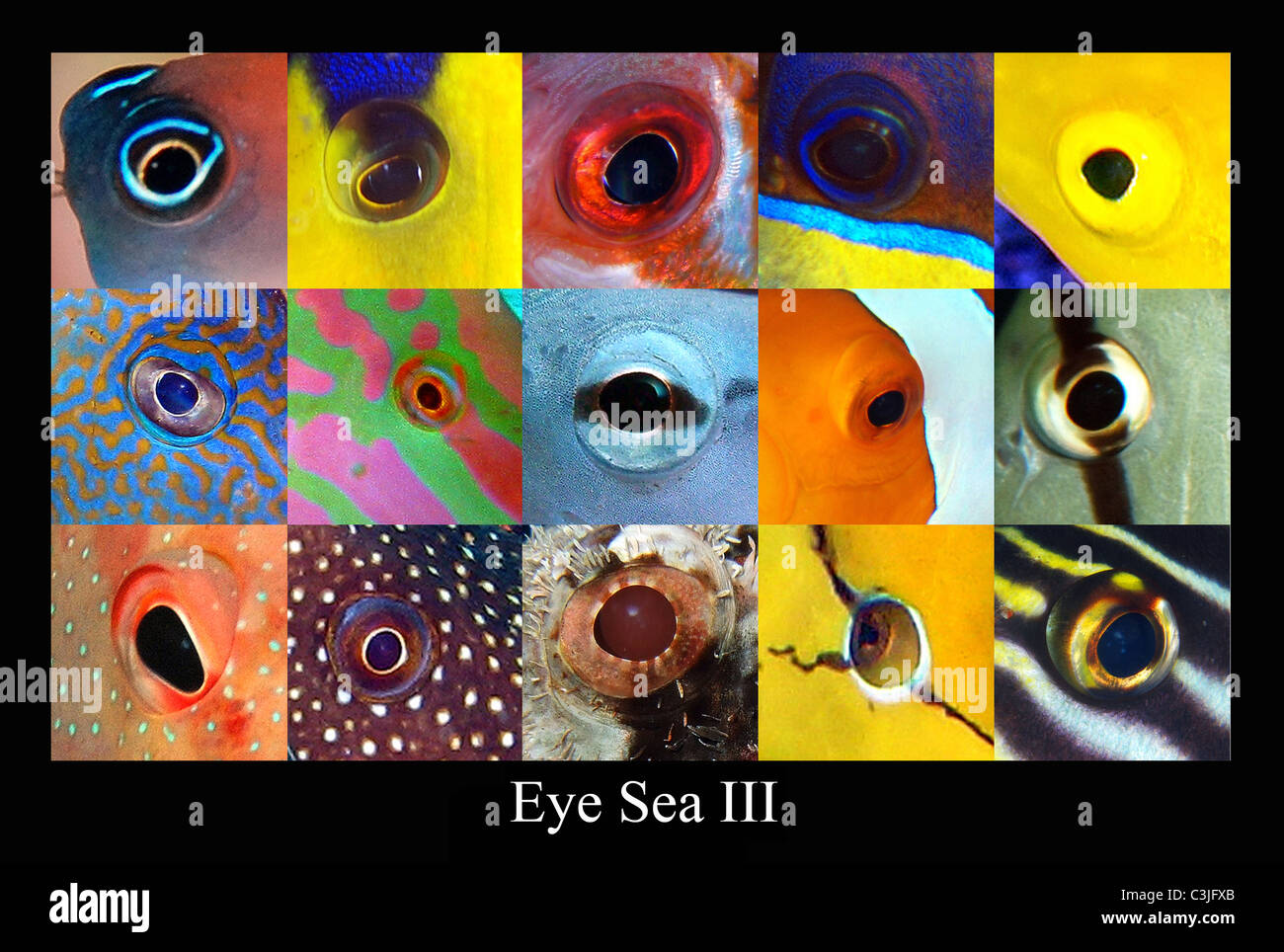 eye sea III Stock Photo - Alamy