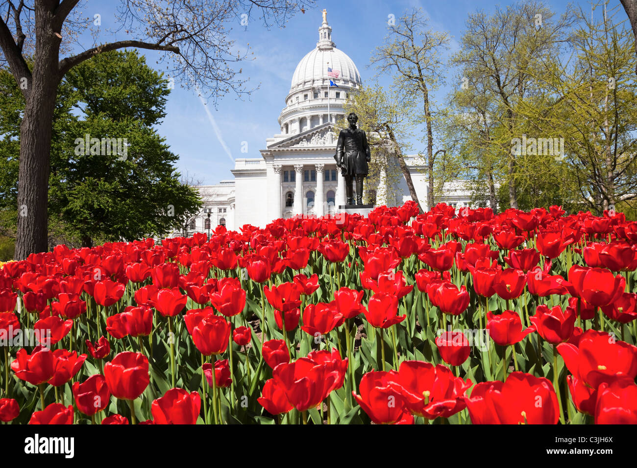 Building red tulips hi-res stock photography and images - Alamy