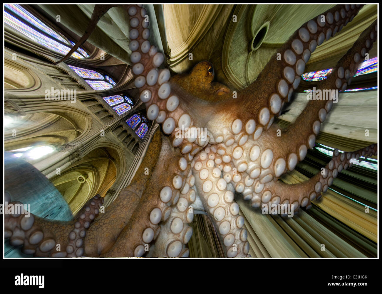 Fantasy octopus hi-res stock photography and images - Alamy