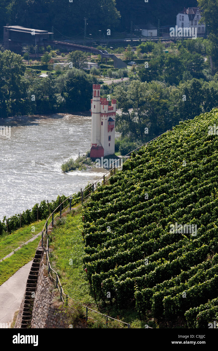 Mouse tower hi-res stock photography and images - Alamy