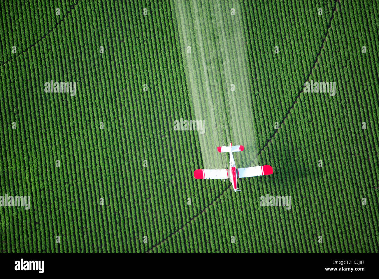 An overhead view of a crop duster spraying green farmland Stock Photo ...