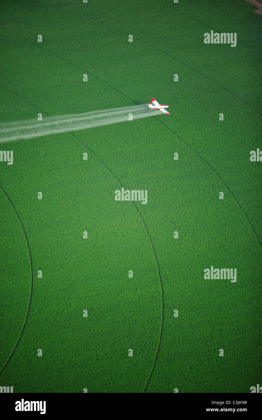 An overhead view of a crop duster spraying a green farm field Stock ...